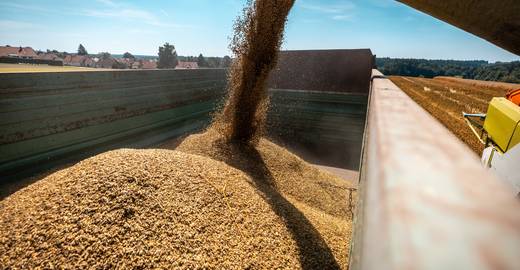 Daten zu Haferanbau und -ernte | Hafer - Die Alleskörner